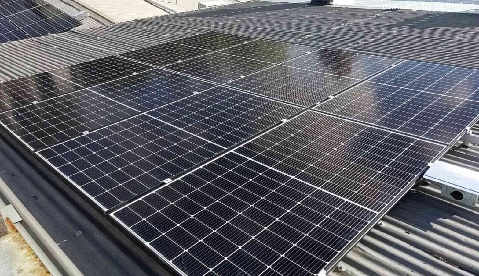 Camilla & Marc 60.68kW - Energus - Solar Energy for Australian Business